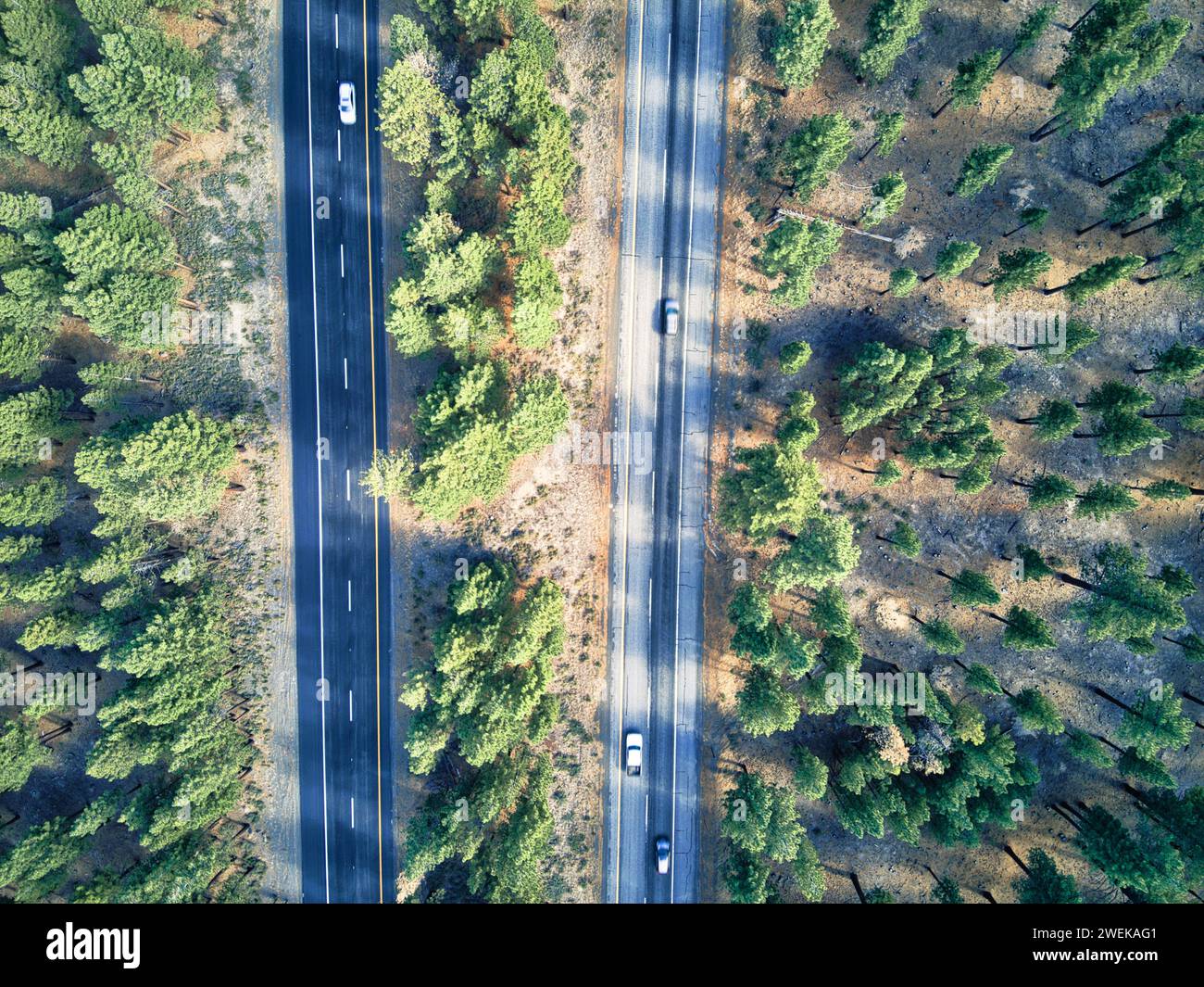Highway cutting through a dense forest with long, winding roads Stock ...