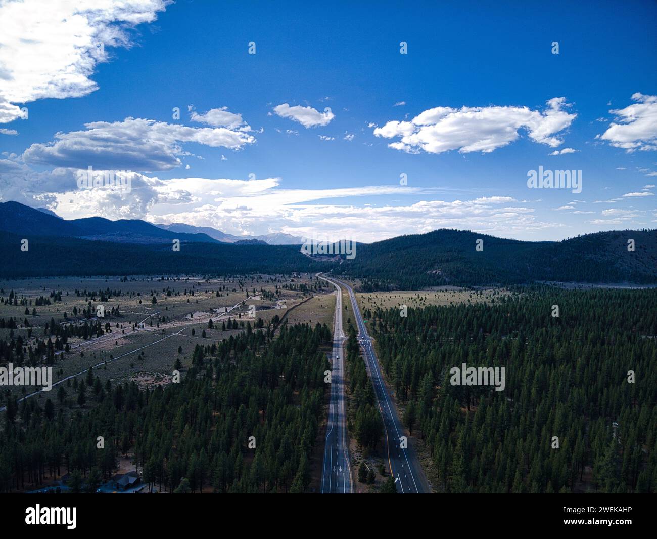 Scenic vista of a vast highway stretching through lush forest, majestic ...