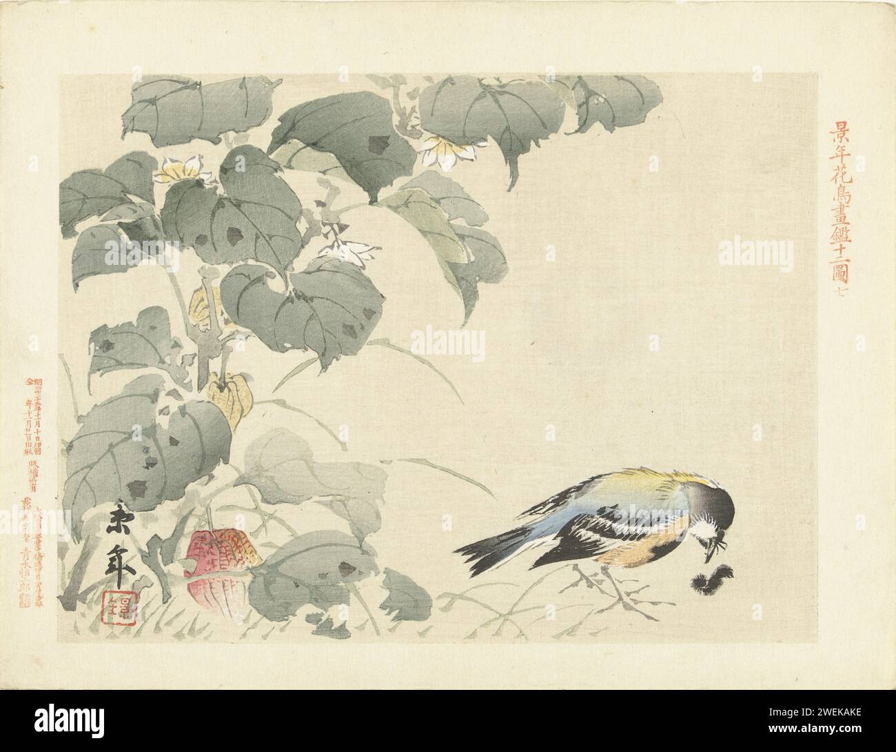 Bird at Rups, 1892 print paper color woodcut birds. insects ...