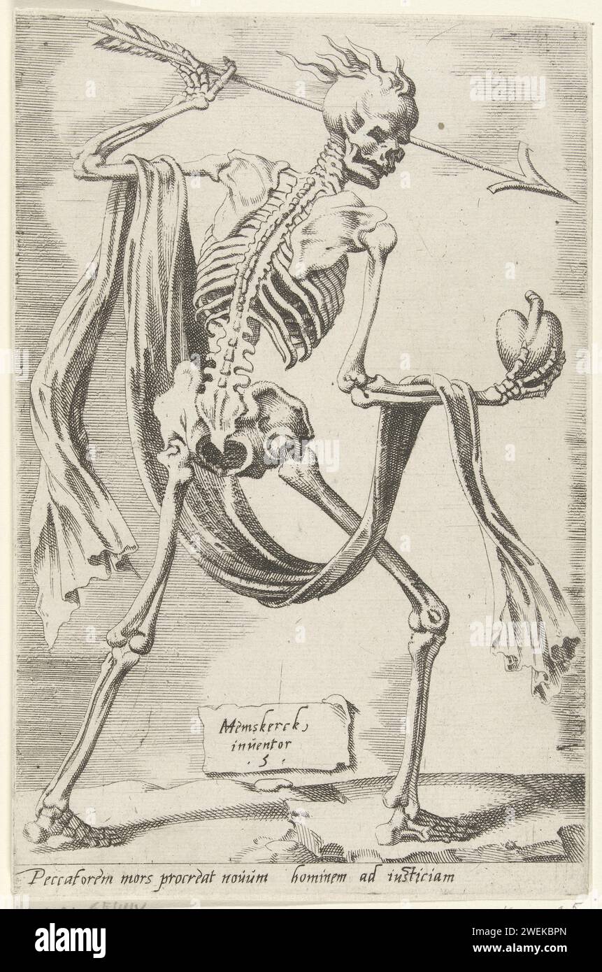 Human skeleton left hand in hi-res stock photography and images - Alamy