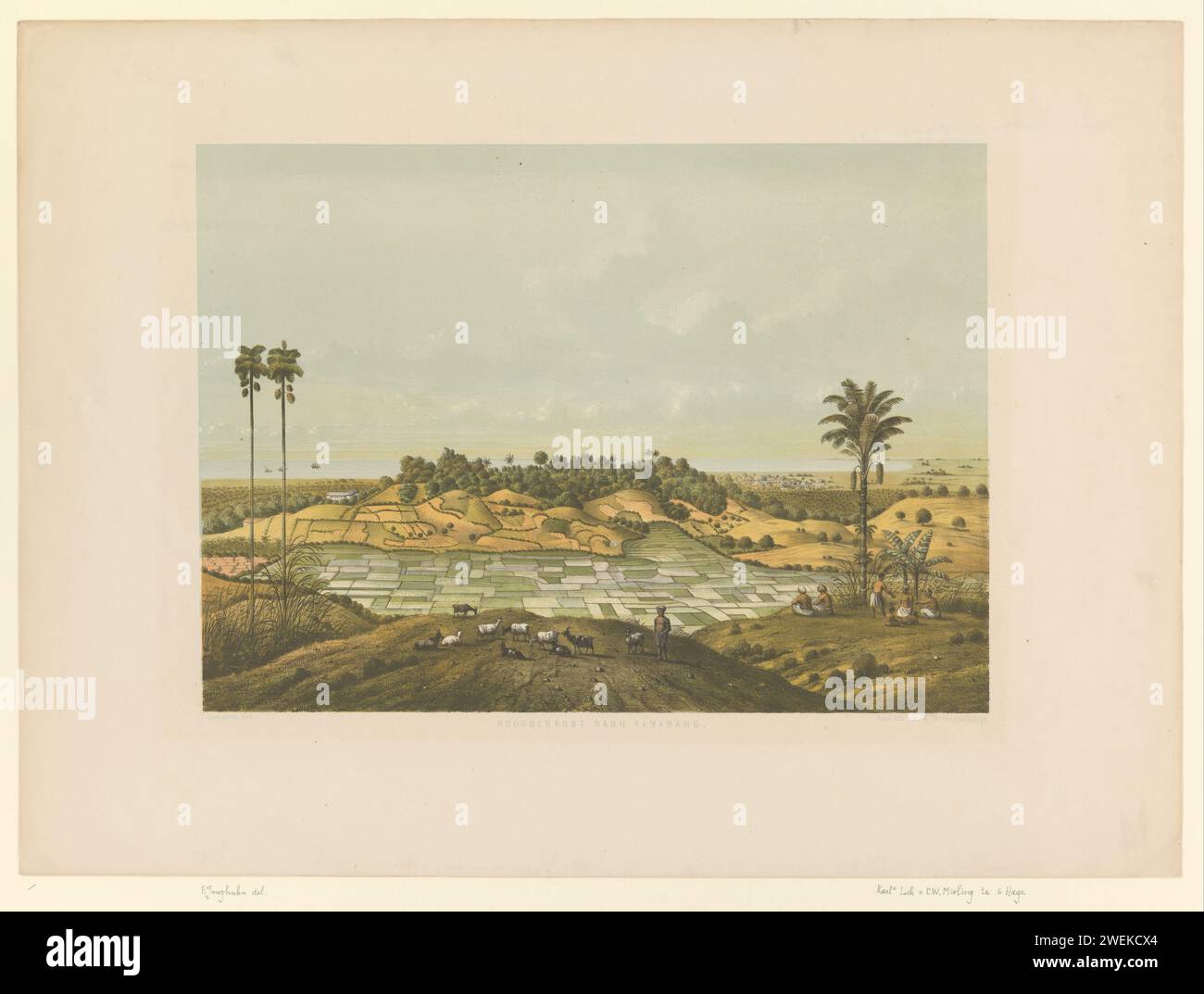 View of a landscape at Samarang, Carl Wilhelm Mieling (Possible), After ...