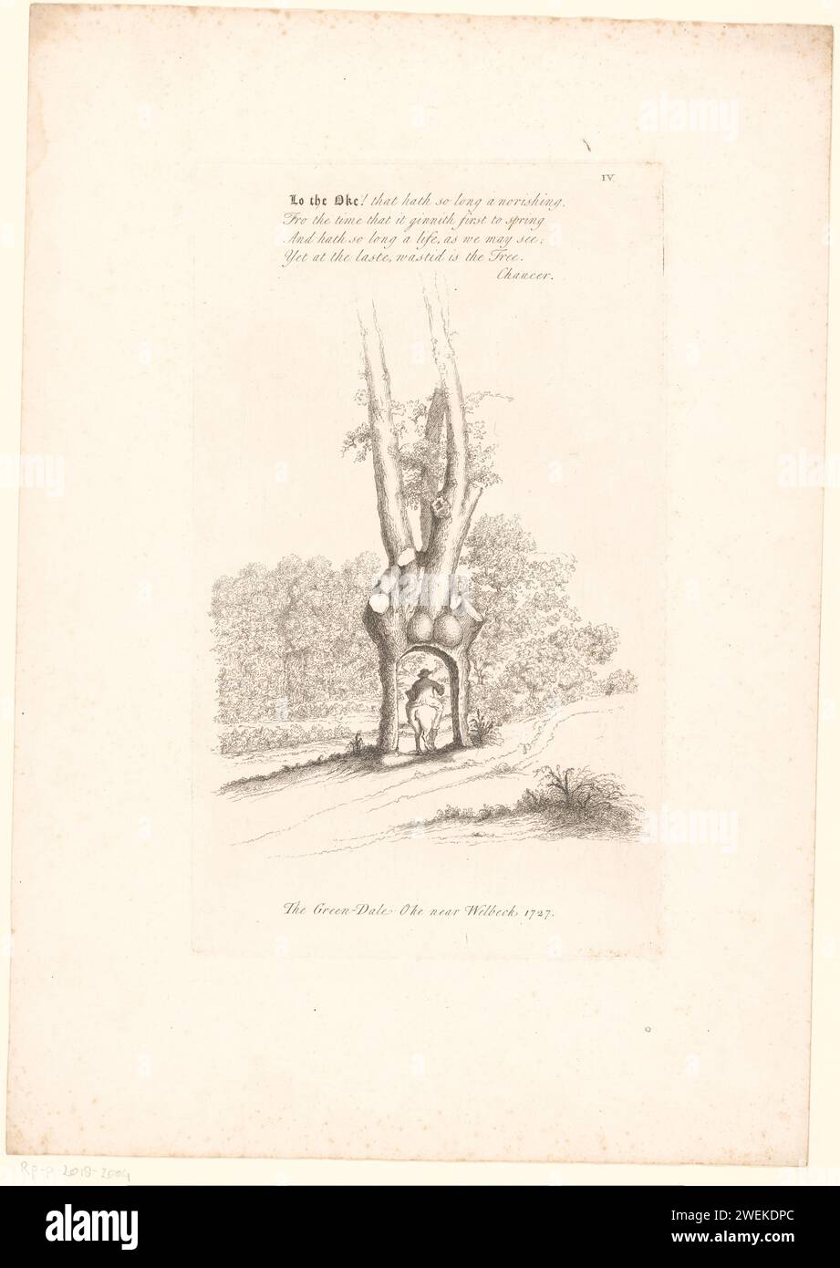 View of the Greendale Oak, George Vertue (Possible), 1727 print ...
