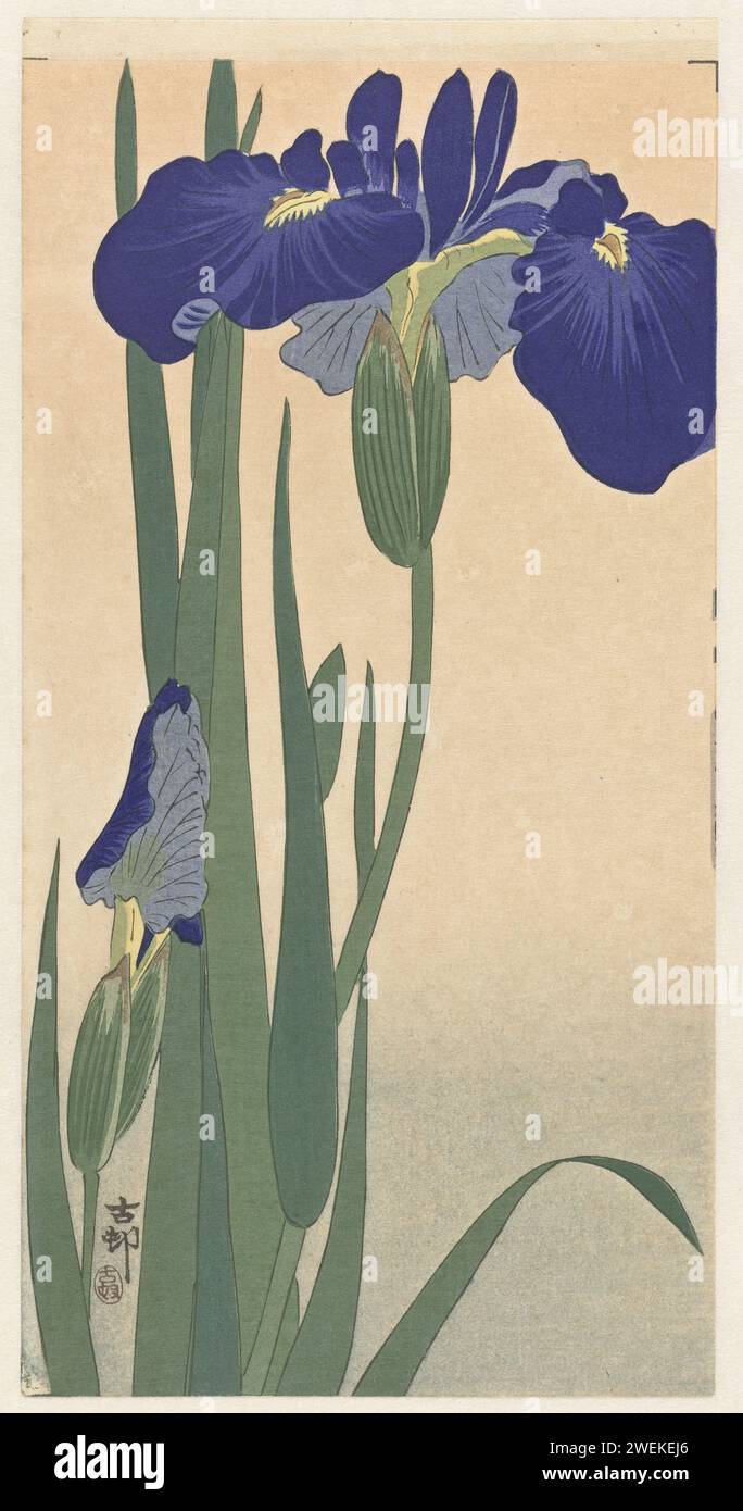 Blue Irises, anonymous, after Ohara Koson, 1900 - 1930 print Japanese ...