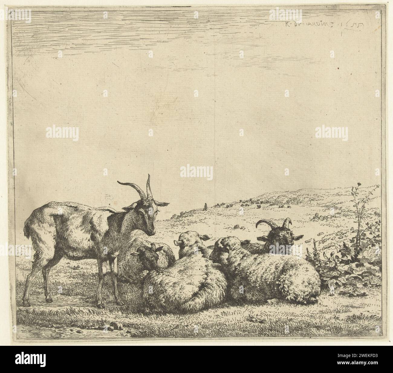 Two goats and three sheep, Karel du Jardin, 1655 print paper etching ...