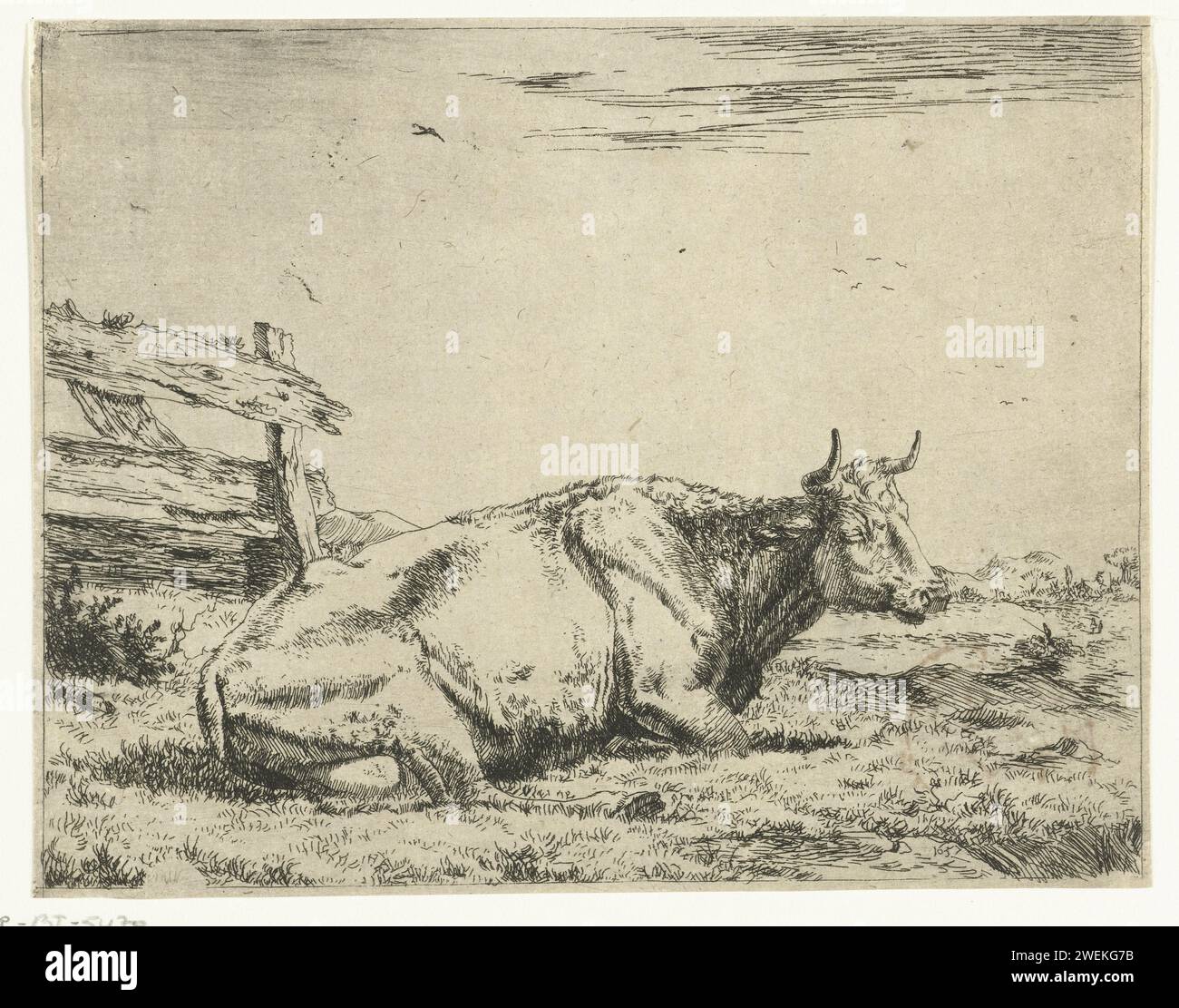 Resting cow by a fence, Marcus de Bye, 1657 print paper etching cow ...