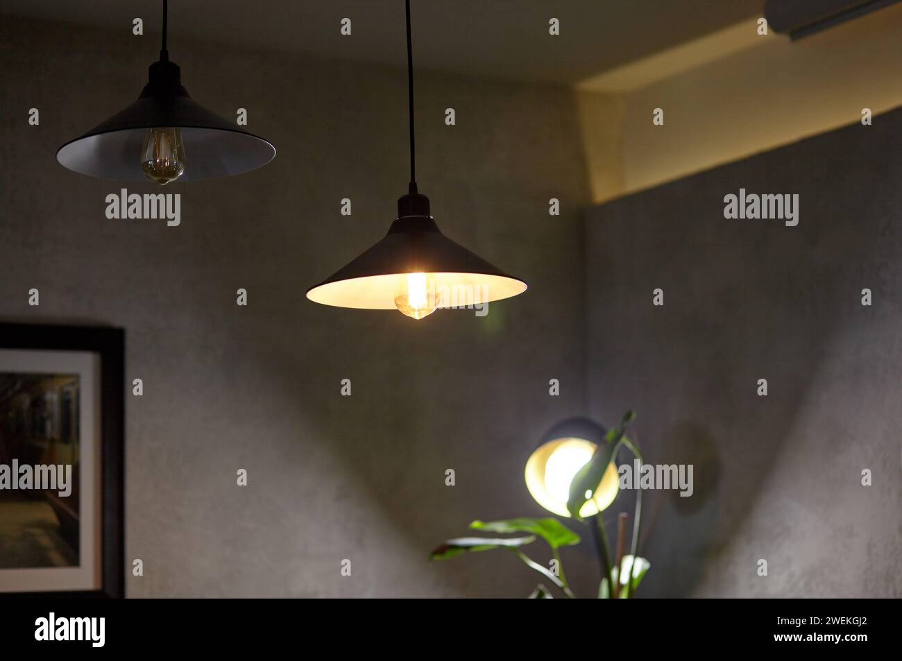 Light bulb shop hi-res stock photography and images - Alamy