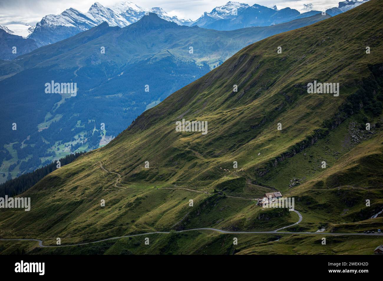 View rugged path leading hi-res stock photography and images - Alamy