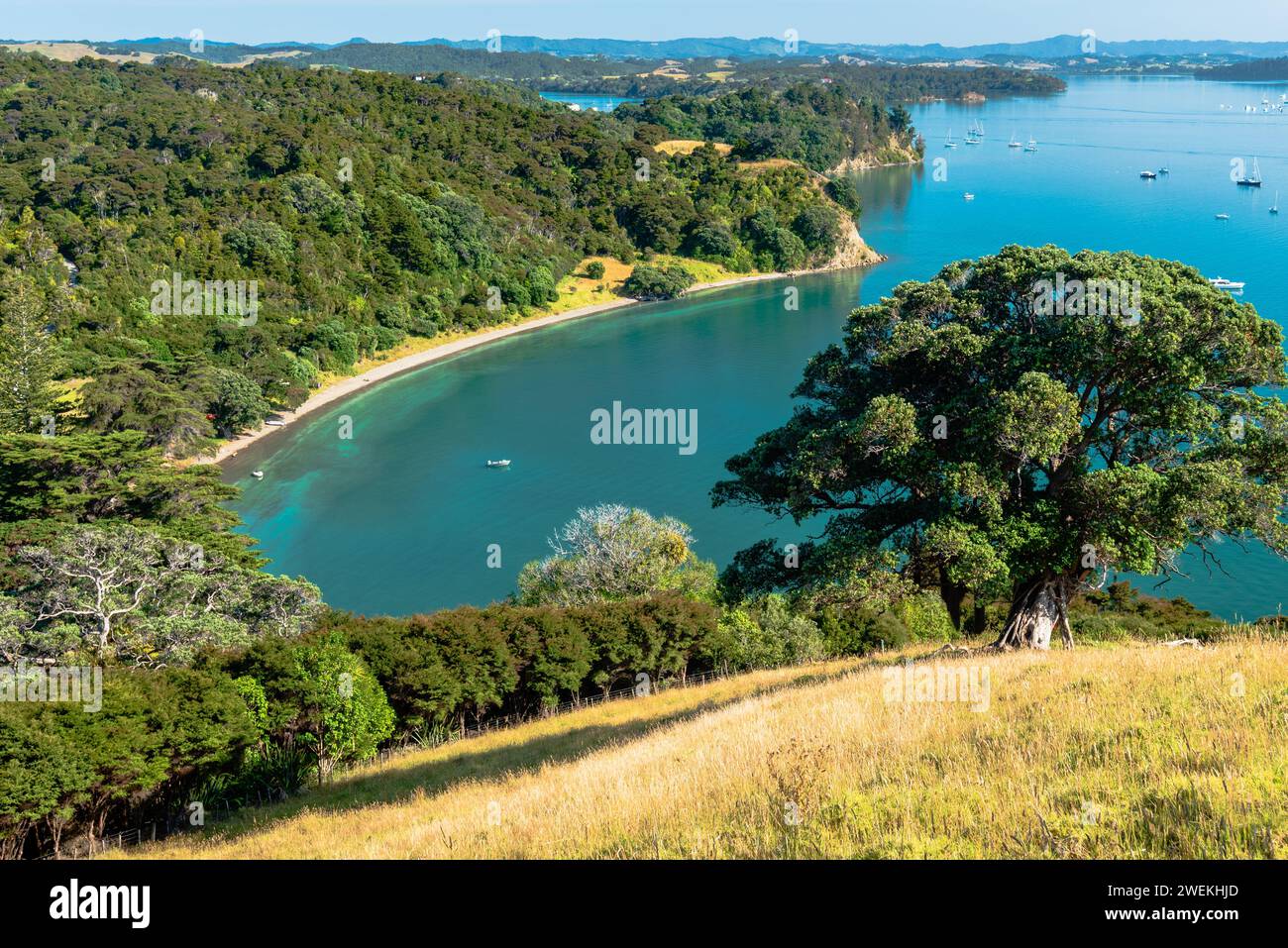 View Across Mita Bay, Mahurangi Regional Park, Auckland, New Zealand ...