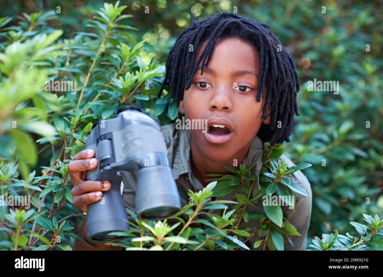 Nature trees, binocular and child surprise over discovery on adventure ...