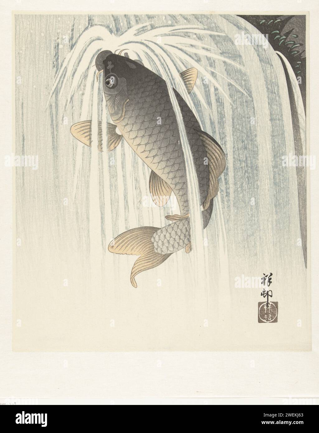 Karper, Ohara Koson, 1935 print Carp, against a waterfall up swimming ...