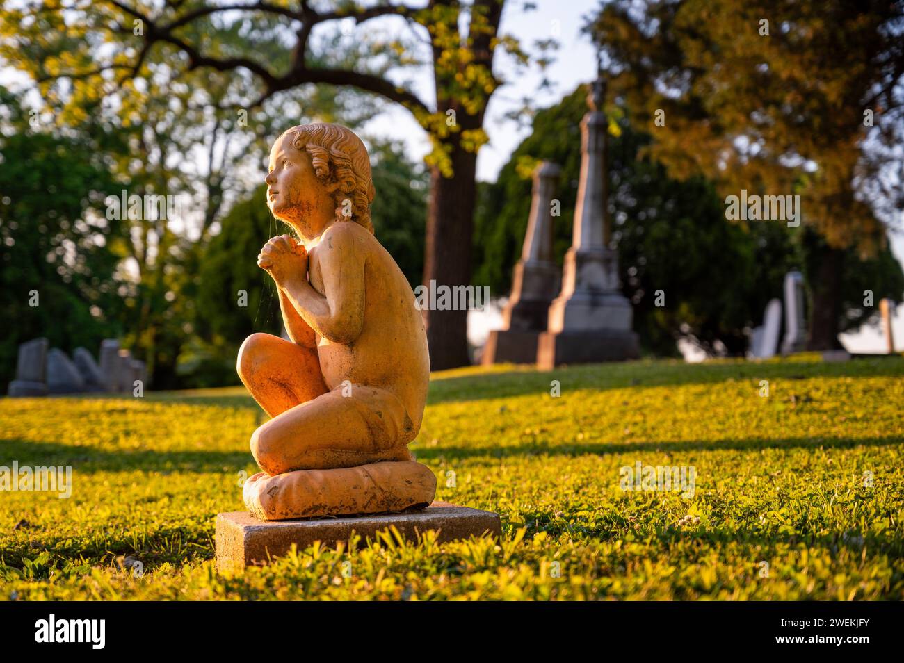 Angel statue in golden glow hi-res stock photography and images - Alamy