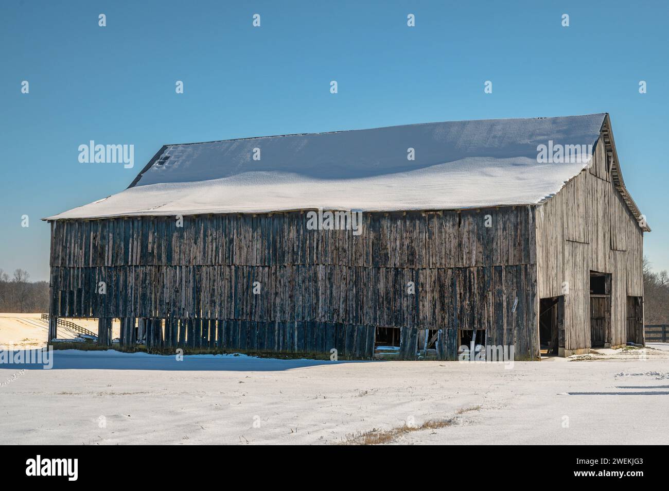 The aged texture of a large wooden barn is accentuated by the bright ...