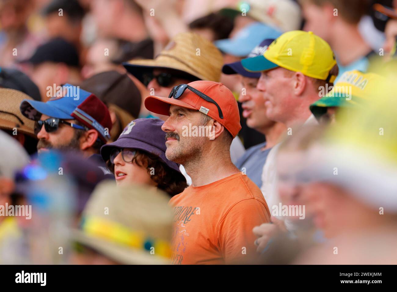 Brisbane, Australia. 26th Jan 2024. Cricket fans enjoying the Australia ...