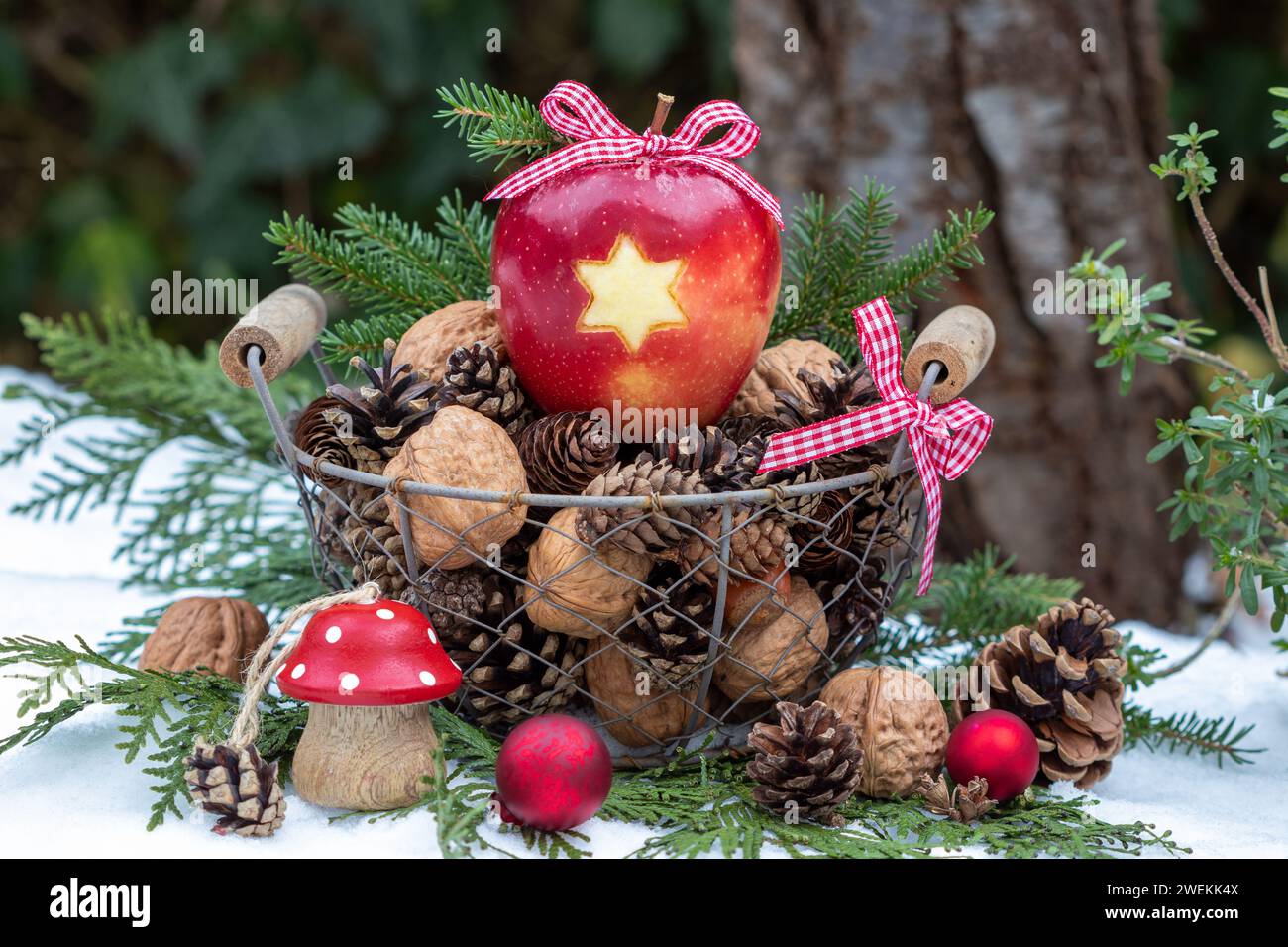 christmas decoration with an apple with star ornament, cones and ...