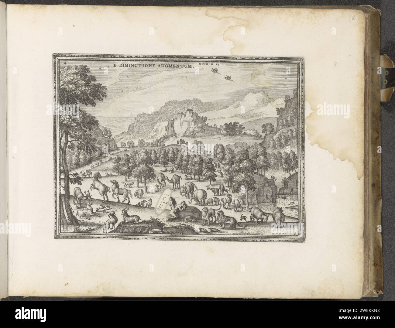 Creation of Eva, 1653 - 1654 print In the midst of the animals, God Eva ...