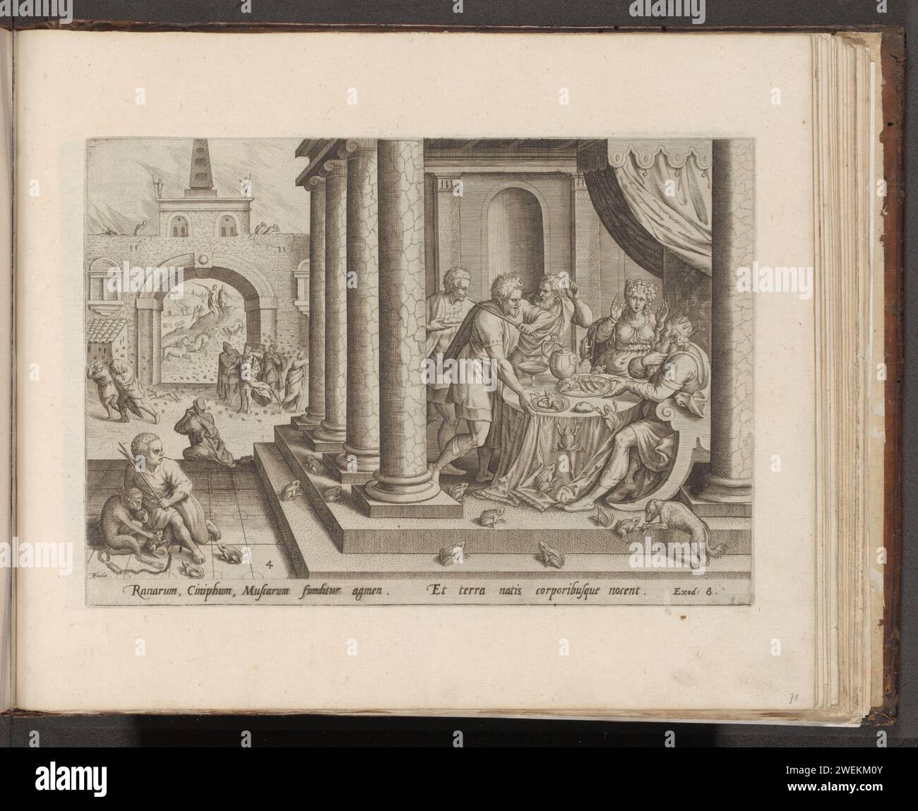 Bible plague egypt frogs hi-res stock photography and images - Alamy