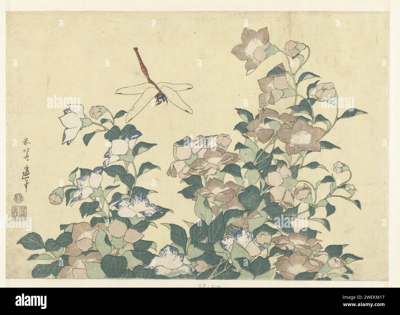 BALLONKLOKJE EN Libelle, Katsushika Hokusai, 1830-1833 print Plant with ...