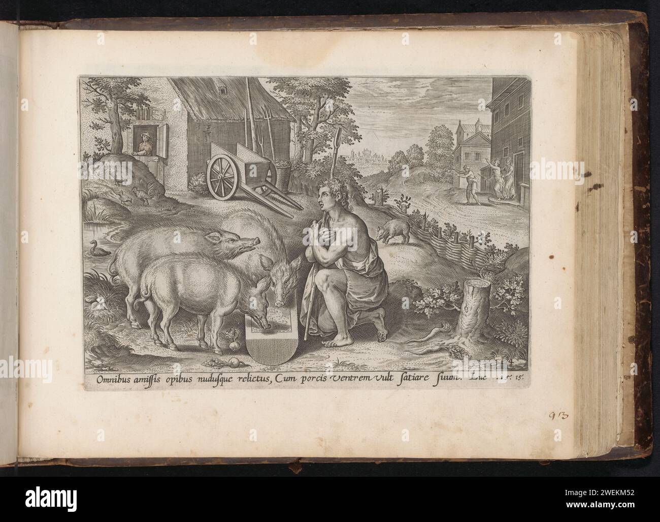 Chased by a pig hi-res stock photography and images - Alamy