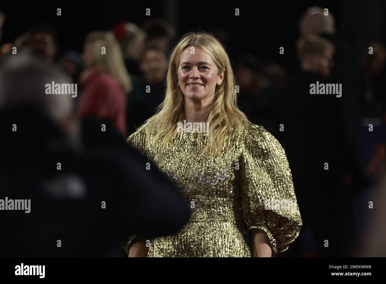 LONDON, ENGLAND - MAY 08: Michael Mainelli The Lord Mayor of the City ...
