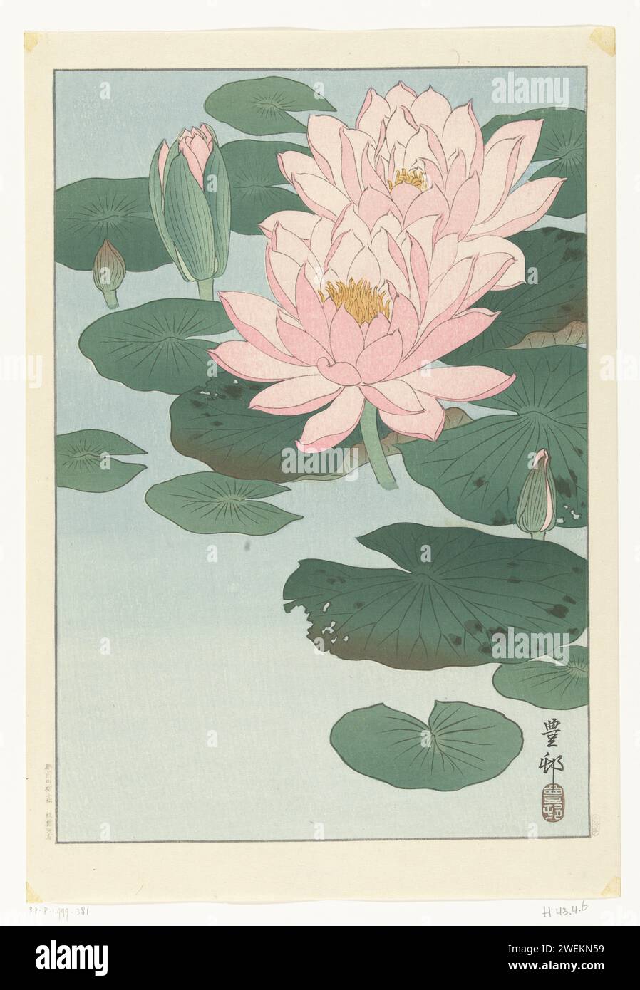 Flowering Water Lily, Ohara Koson, 1920 - 1930 print Pink water lilies ...