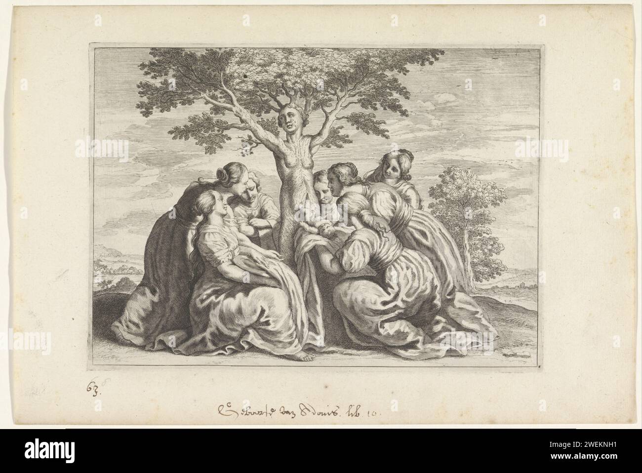 Birth of Adonis, c. 1636 - 1670 print Adonis is born from the split ...