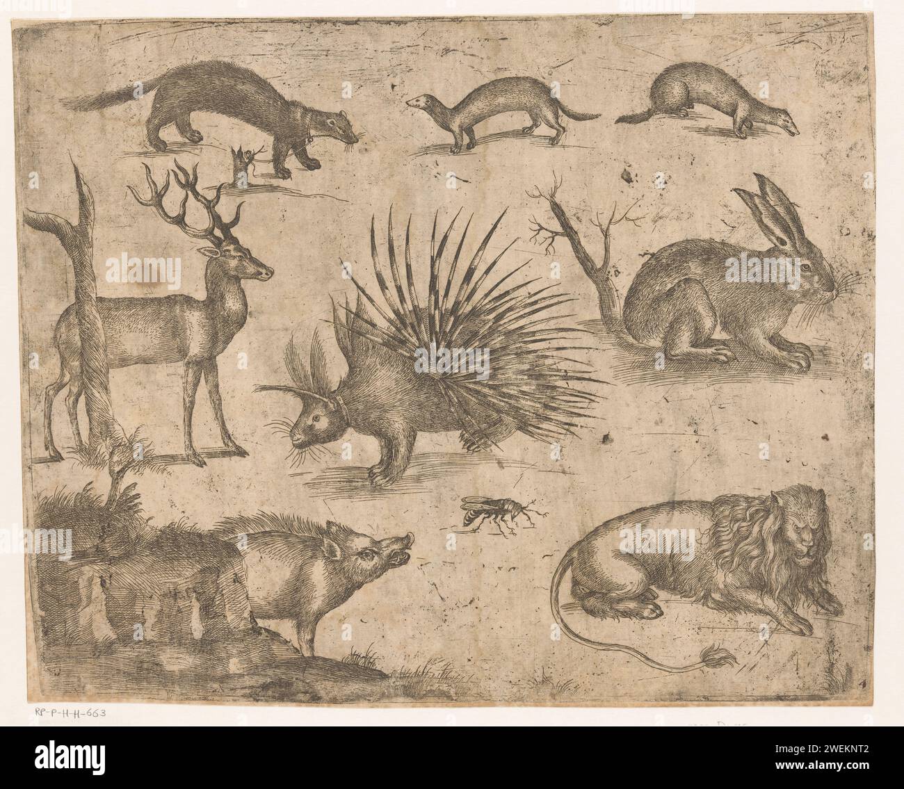 Study magazine with different animals, Antonio Tempesta (attributed to ...