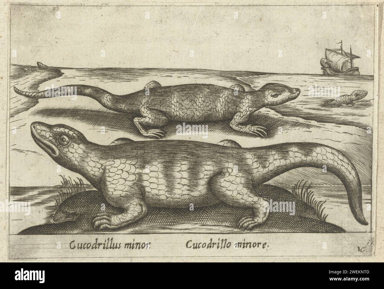 Small crocodilla, Antonio Tempesta, in OR Before 1650 print Two small ...