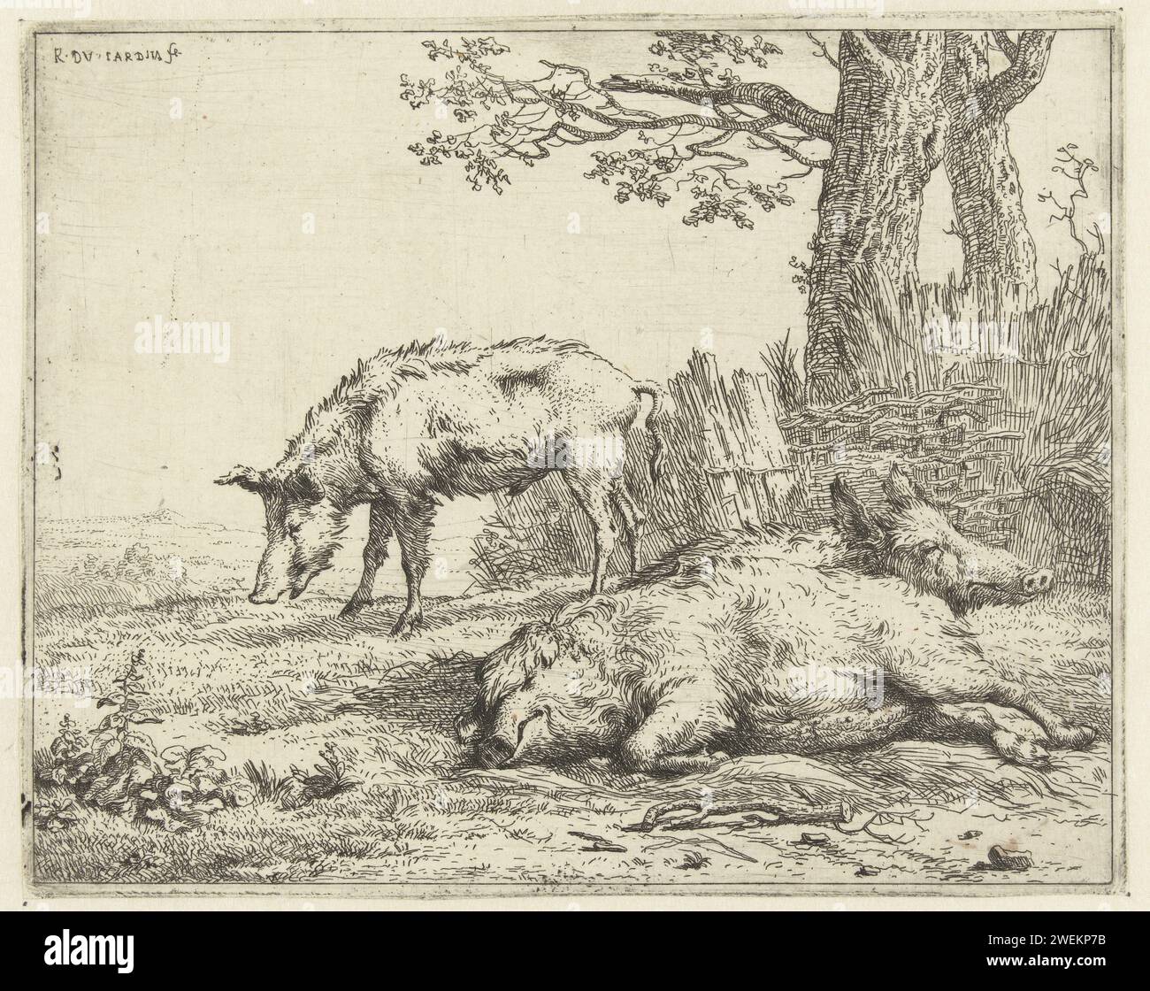 Three pigs by a hedge, Karel du Jardin, 1656 - 1658 print paper etching ...