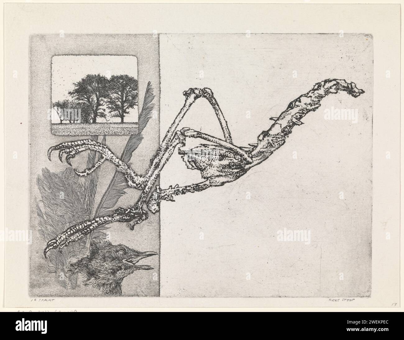 Birdkelet, Kees Stoop, 1979 print Bird skull without skull, bottom left ...