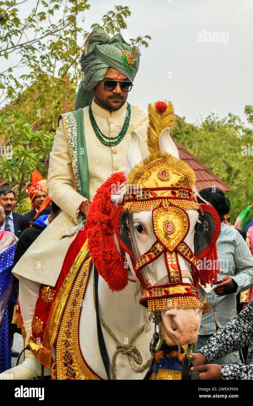 Indian wedding, bridegroom on decorated horse, India, MR#773A Stock ...