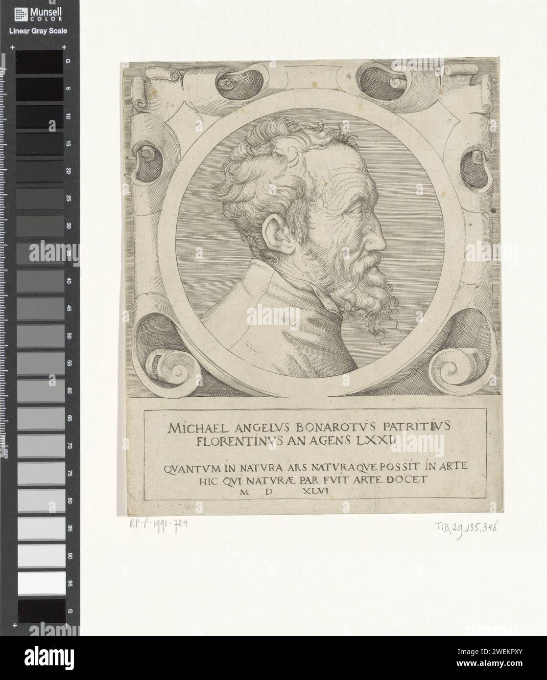 Self portrait of michelangelo hi-res stock photography and images - Alamy