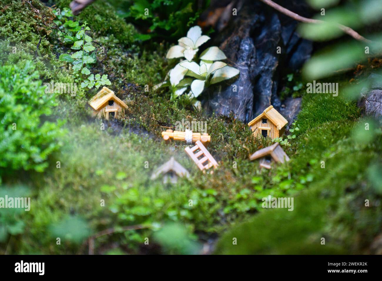 Wooden miniature house model on a moss in forest. Concept of country ...