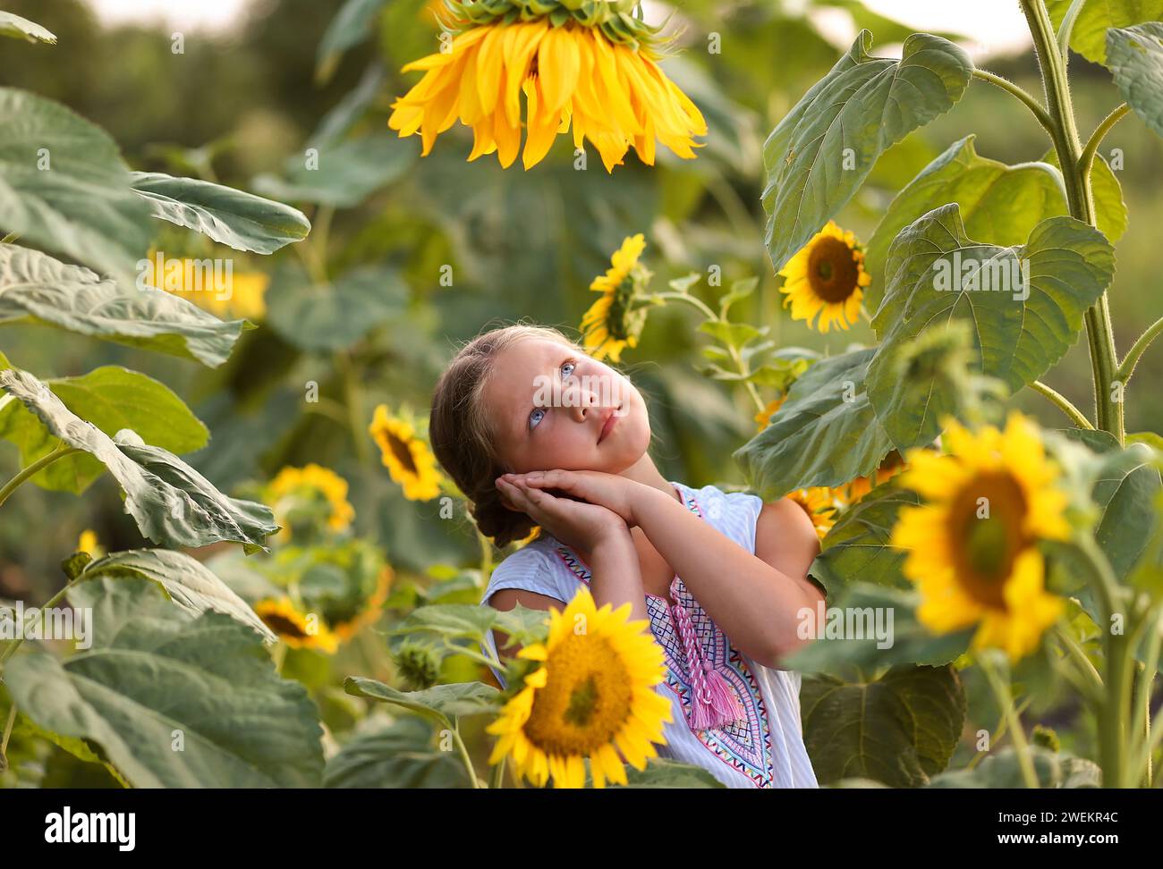 Beauty joyful girl with sunflower enjoying nature and laughing at ...