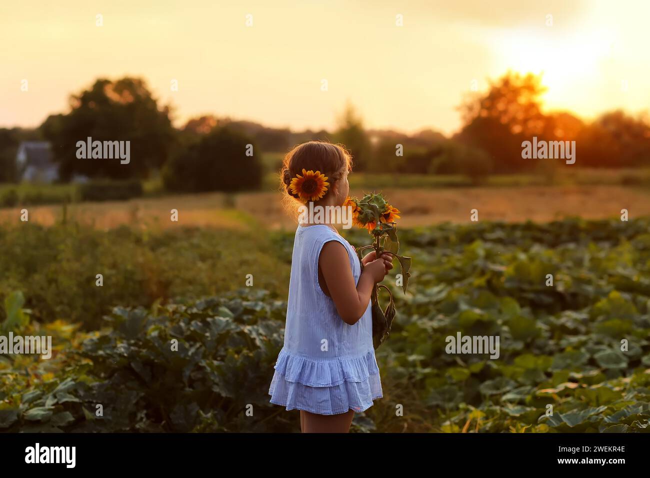 Beauty joyful girl with sunflower enjoying nature and laughing at ...
