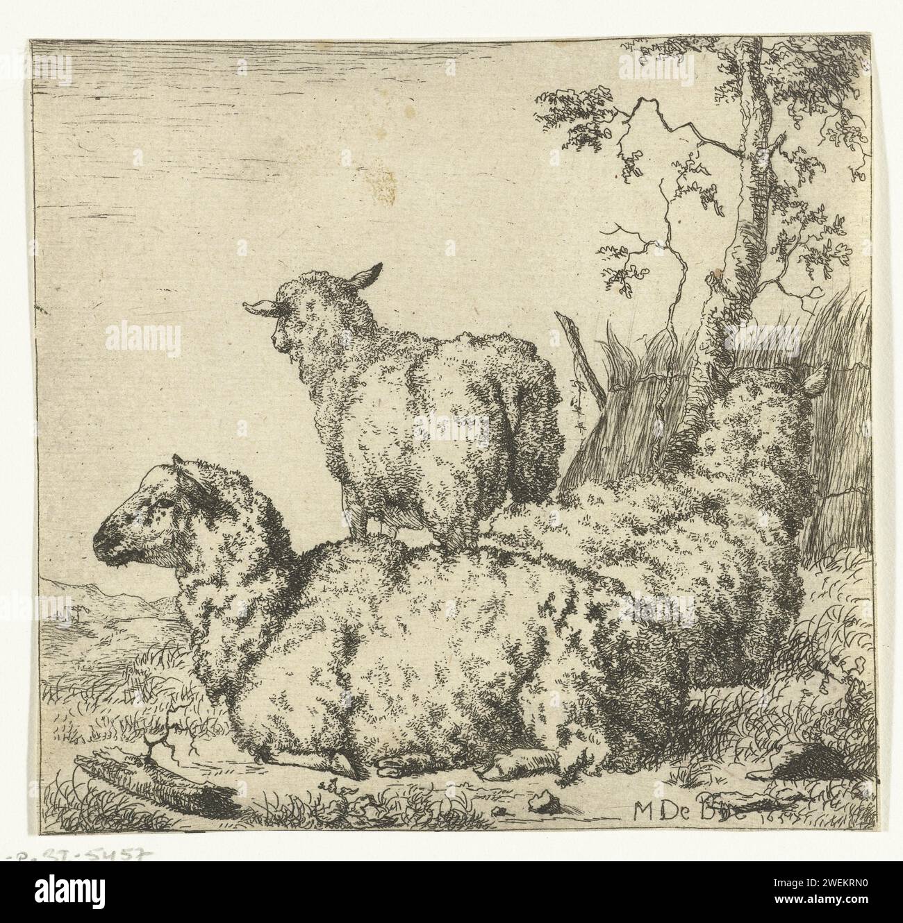 Three Sheep, Marcus de Bye, 1657 print paper etching sheep Stock Photo ...