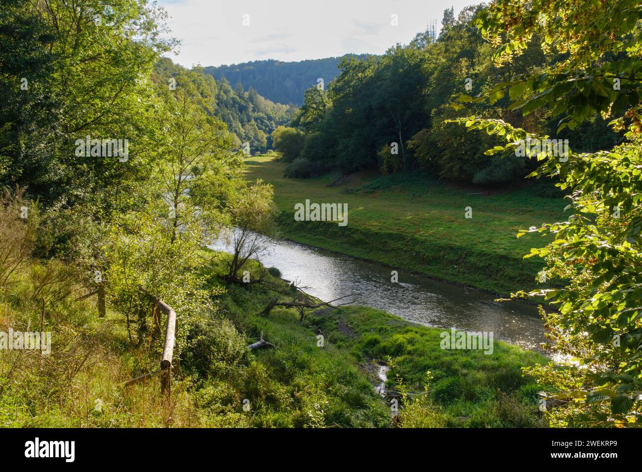 River Urft at the Urfttal valley, National park Eifel Stock Photo - Alamy