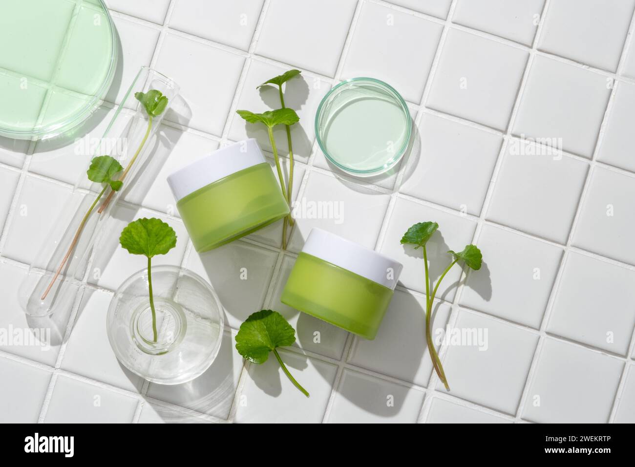 Lab jars hi-res stock photography and images - Alamy