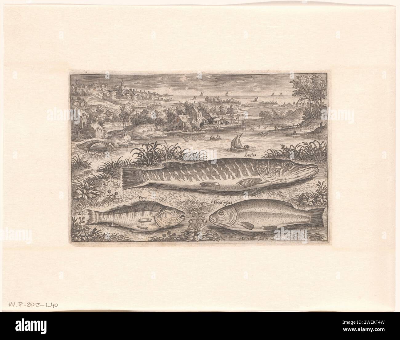 Three fish on a shore, after 1598 - 1618 print A pike, a perch and a ...