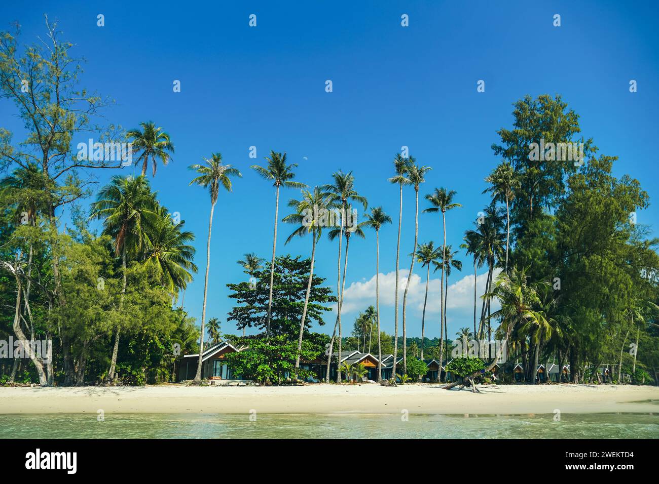 Beautiful beach with palms and turquoise sea in Koh Kood island ...