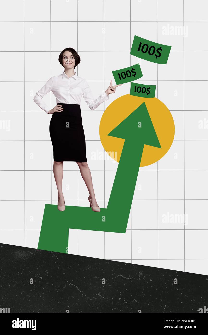 Vertical collage creative poster happy successful cheerful young lady ...