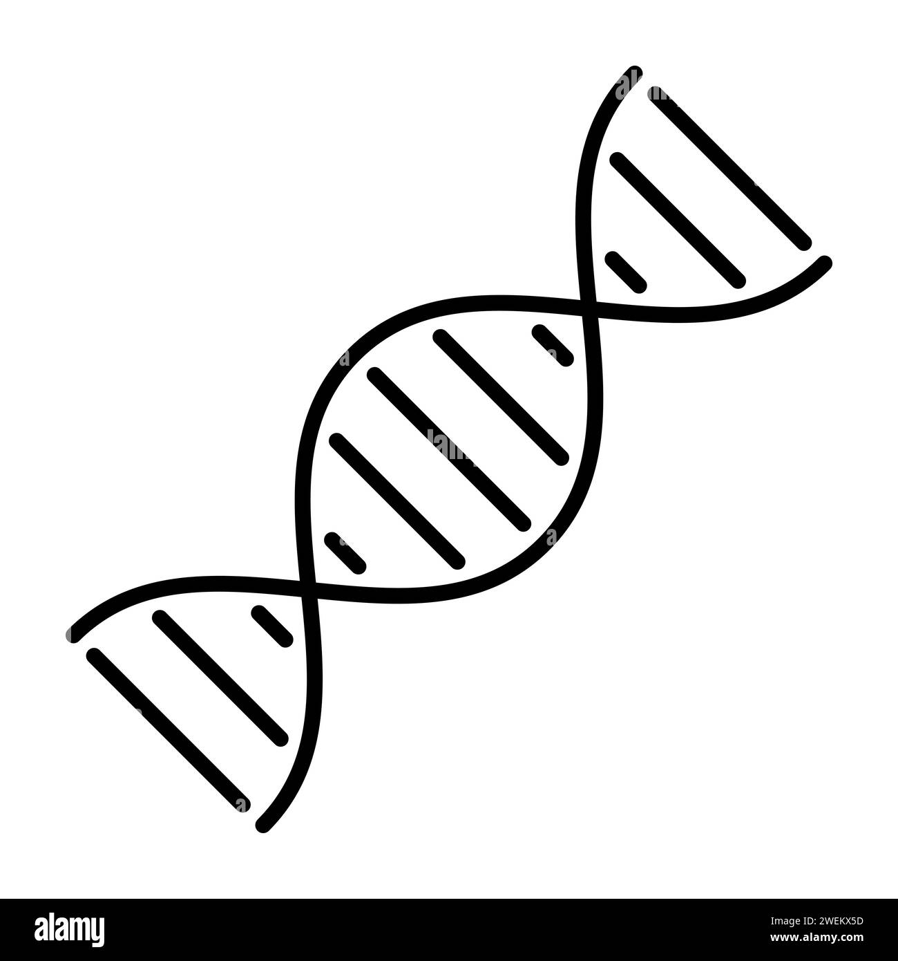 DNA helix icon template, human DNA genetic symbol, gene biology Stock ...