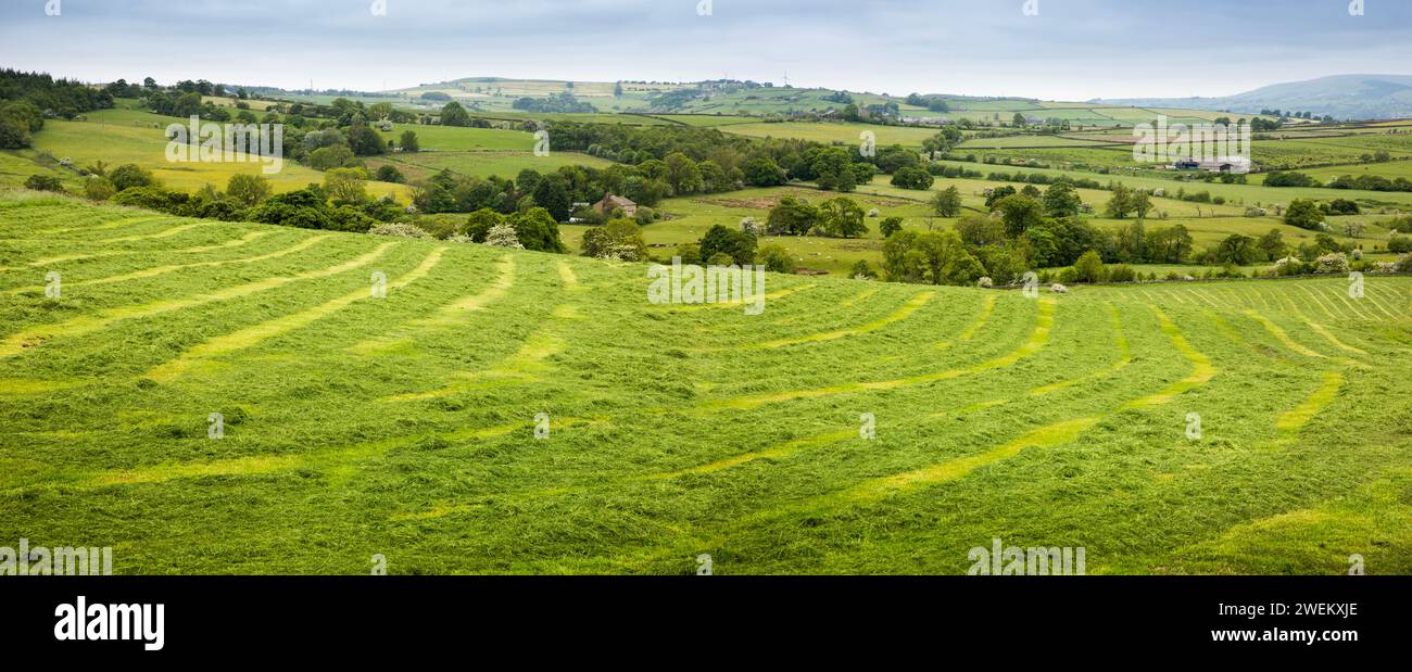 UK, England, Lancashire, Colne, Laneshawbridge, Ratten Clough Bridge ...
