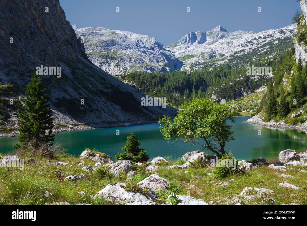 Slovenian alpine glacier hi-res stock photography and images - Alamy