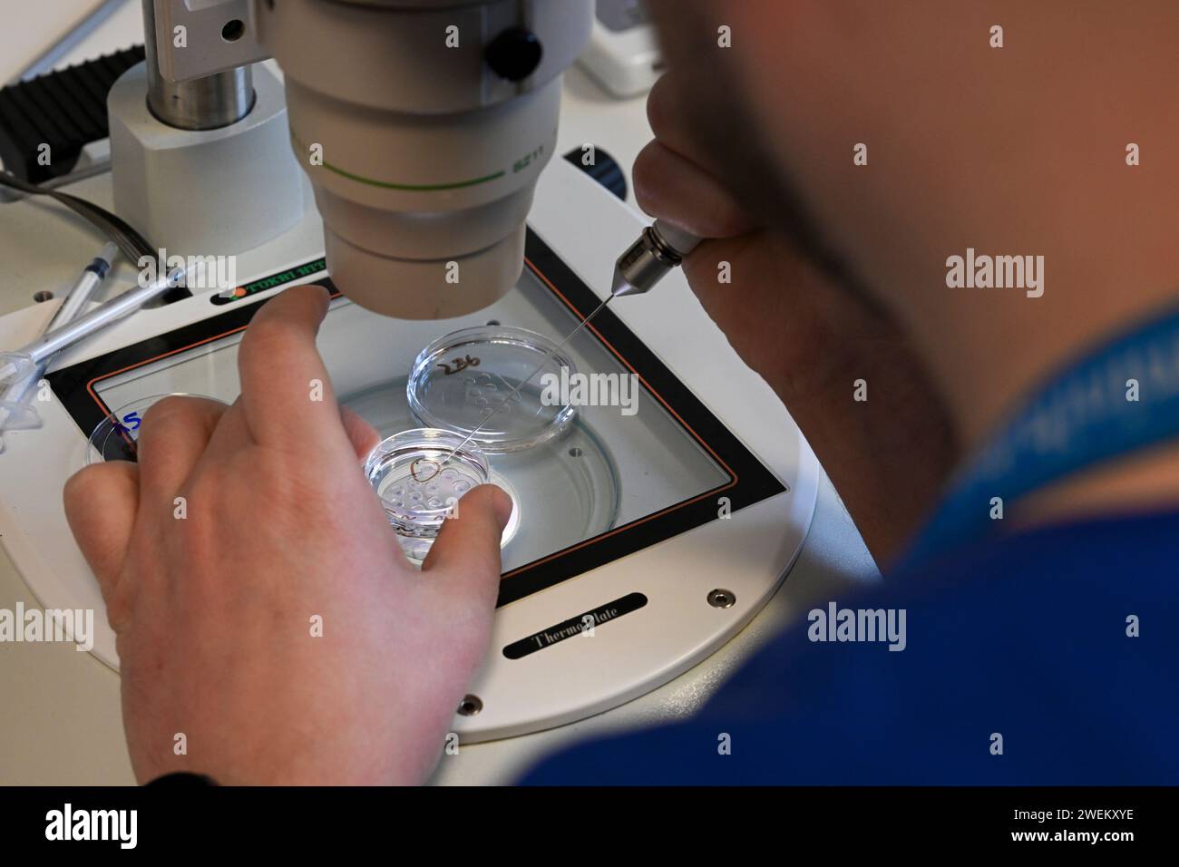 Berlin, Germany. 17th Jan, 2024. In the cell laboratory at the ...