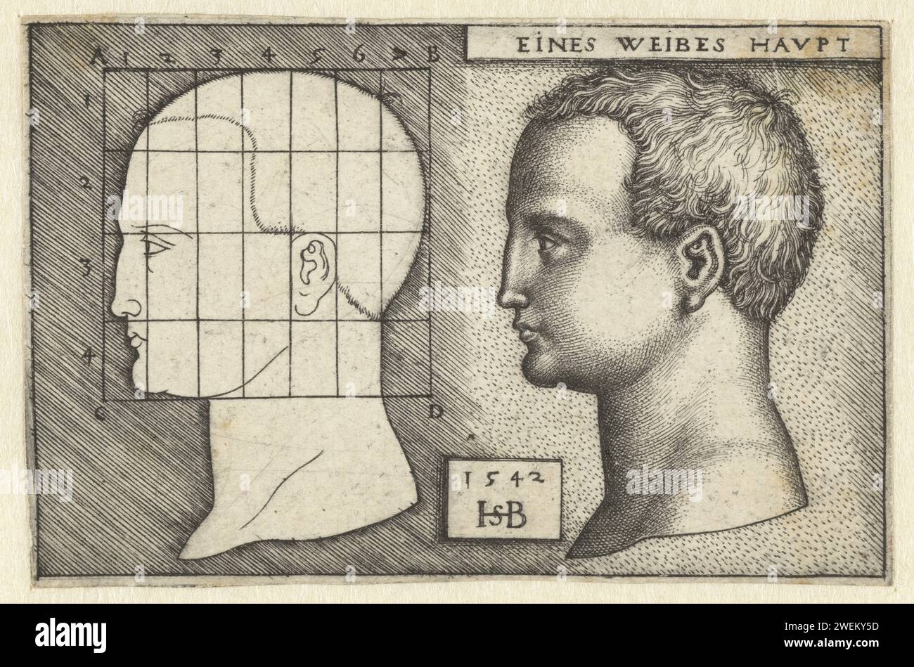 Women's head and drawing in schedule according to proportion theory ...