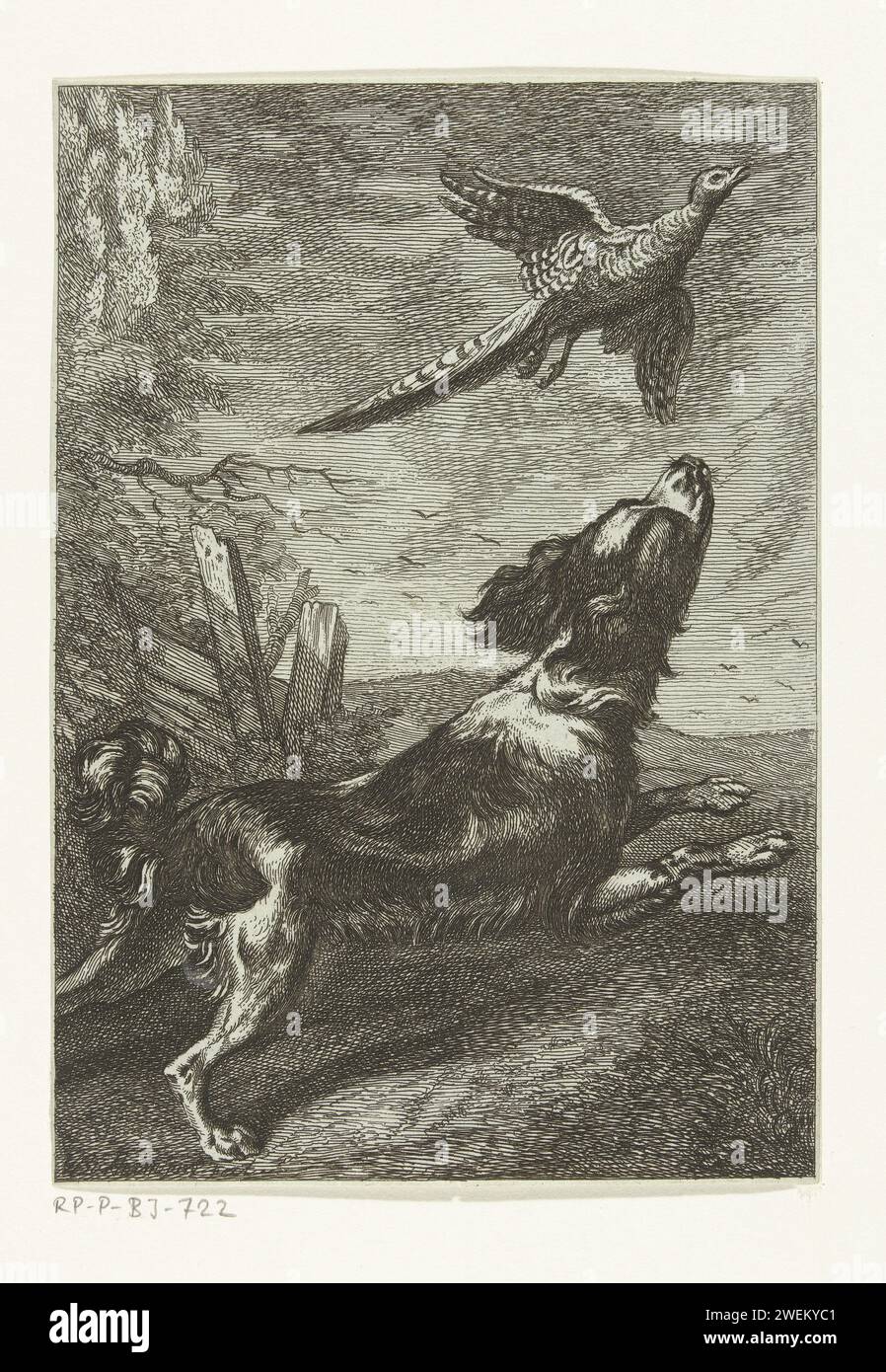 A dog hunts a bird, Gerrit van Battem (De Jonge), 1650 - 1700 print In ...