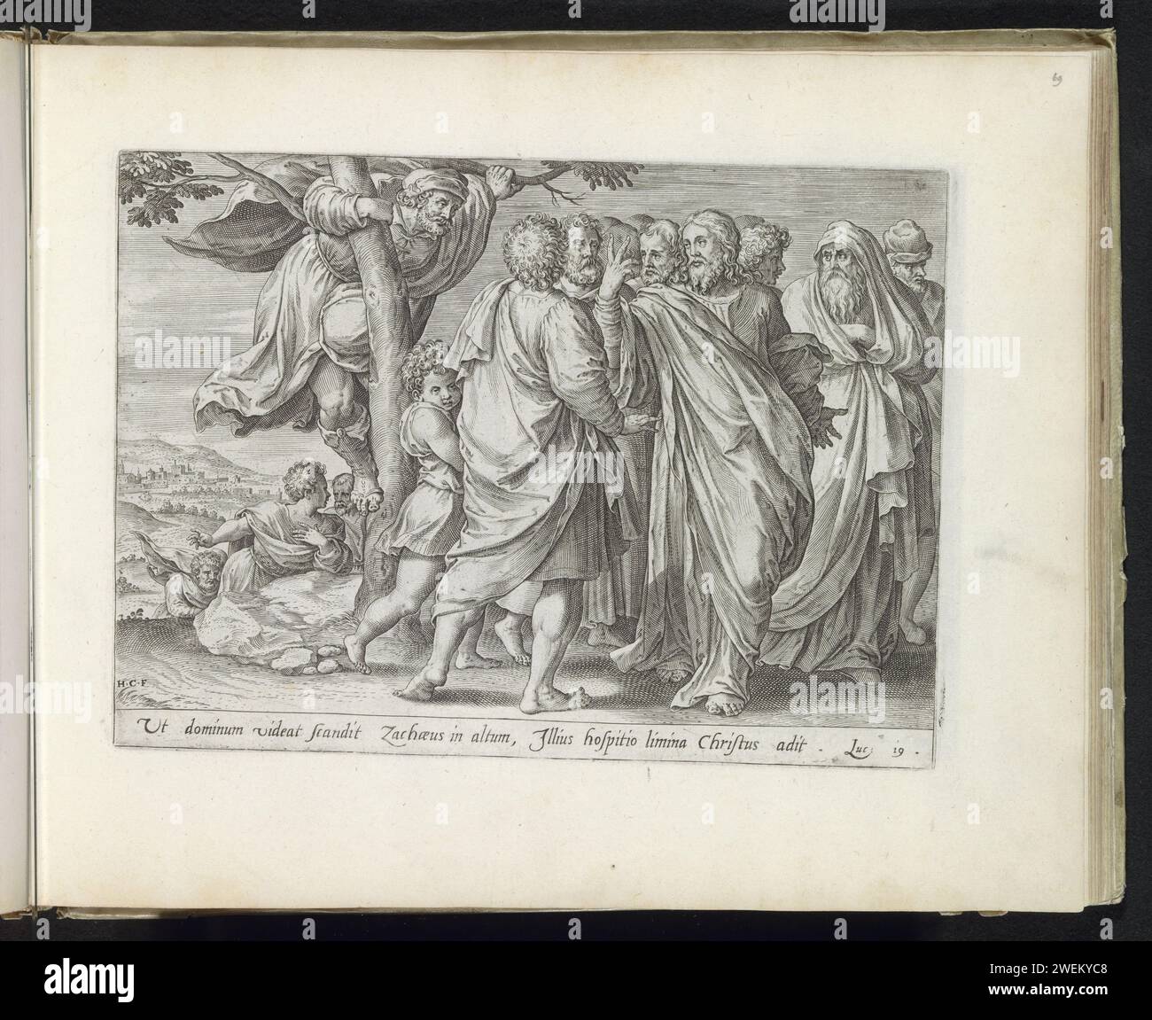 The tree of zacchaeus hi-res stock photography and images - Alamy