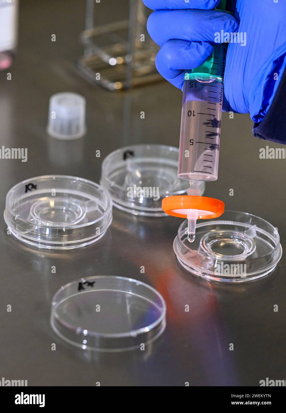 Preparation of cell culture hi-res stock photography and images - Alamy