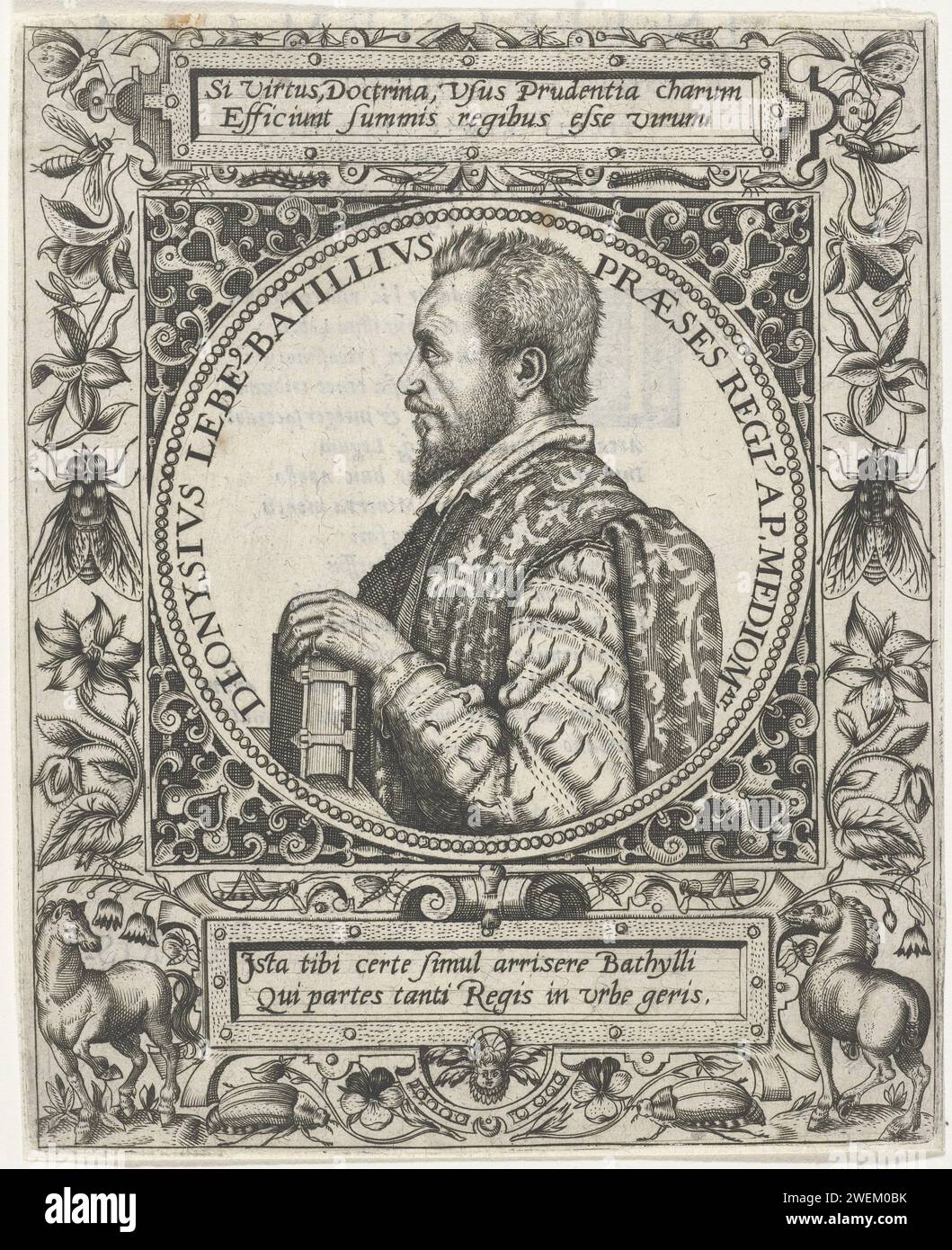 Nimi hi-res stock photography and images - Alamy