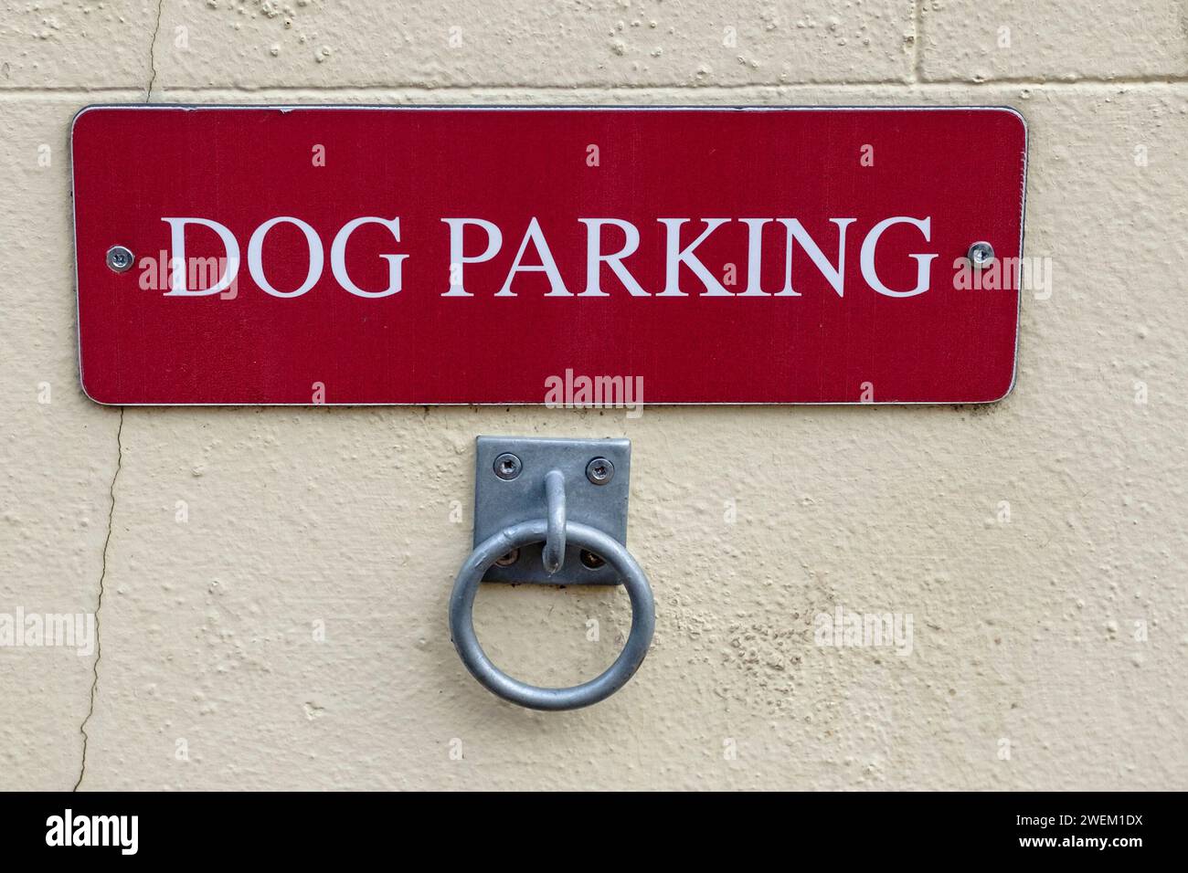 Stroud Glos UK Dog Parking sign Stock Photo - Alamy